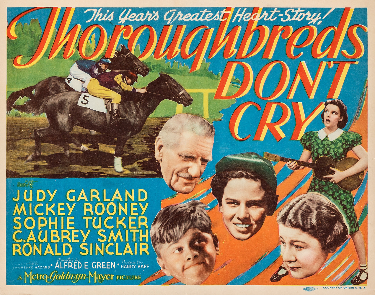 Thoroughbreds Don’t Cry – The Judy Room